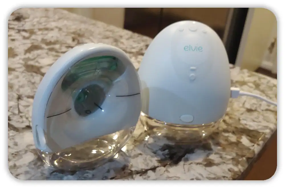 Are Elvie Parts Dishwasher Safe: Essential Care Tips Revealed – buzzlyo