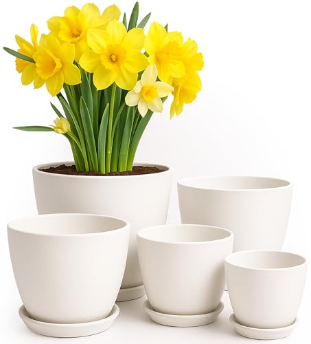 Best Flowers for Small Pots: Top Indoor Planters with Drainage Holes ...