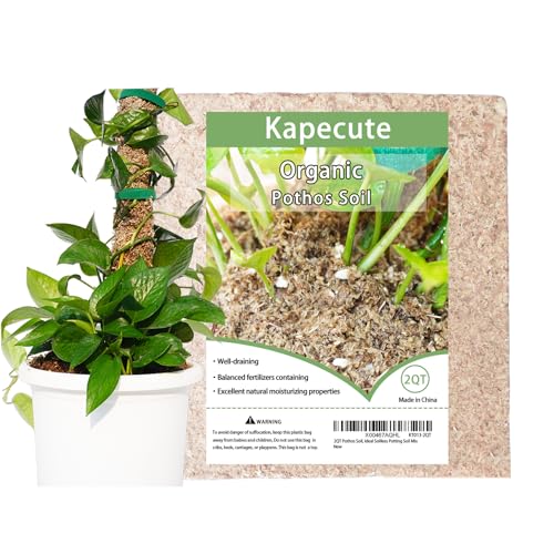 Best Potting Mix for Pothos: Kapecute Soil for Indoor Plants – buzzlyo