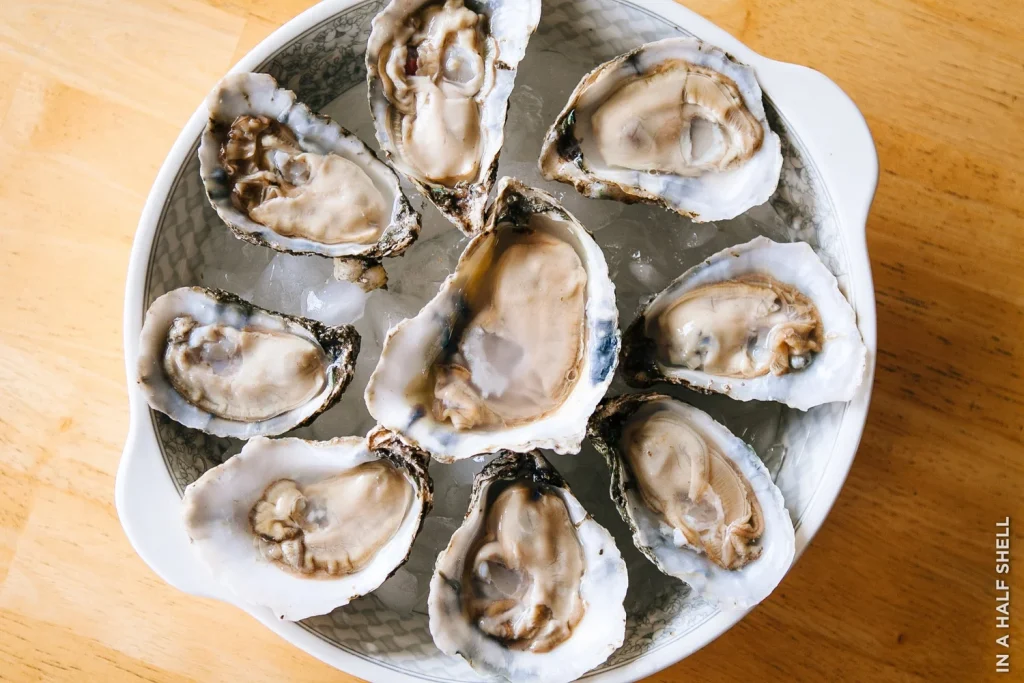 Can I Freeze Shucked Oysters: Ultimate Guide to Safe Storage – buzzlyo