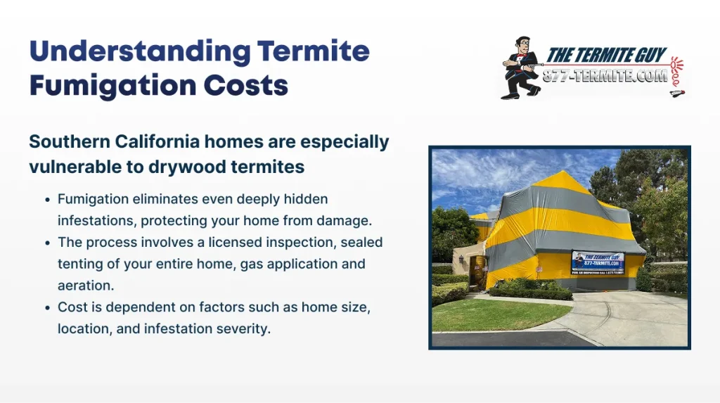 How Much is Tenting a House for Termites: Cost Breakdown & Tips – buzzlyo