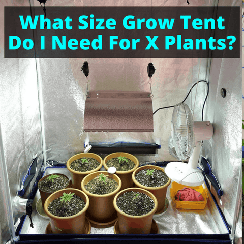 How to Set Up Grow Tent: Ultimate Guide for Perfect Indoor Gardening ...