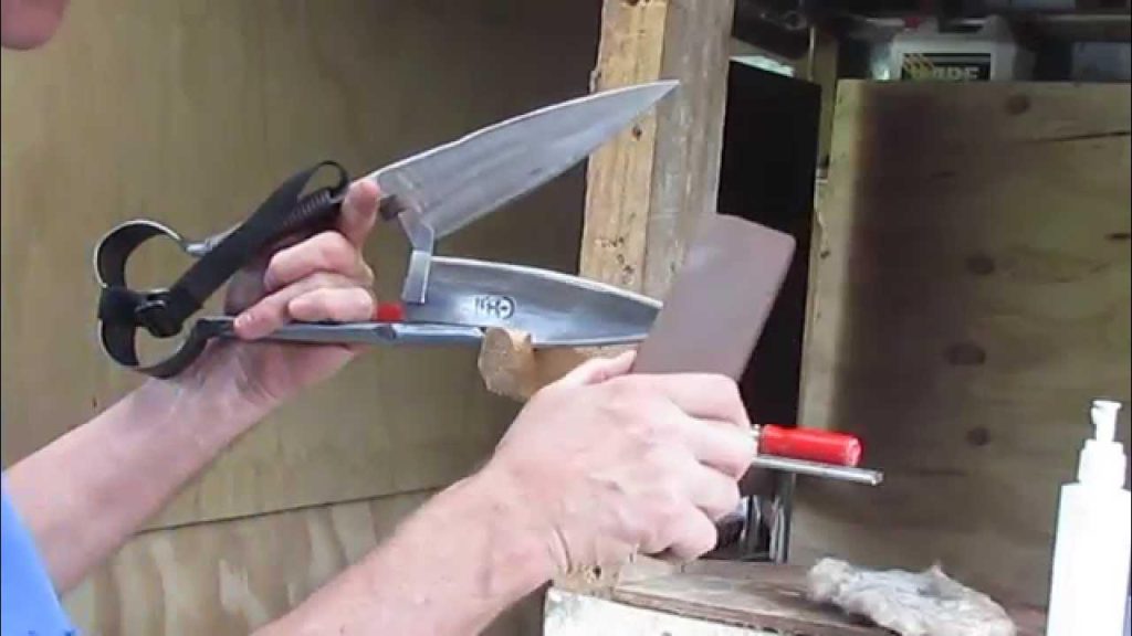 How to Sharpen Sheep Shears: Expert Tips for Precision Cuts – buzzlyo