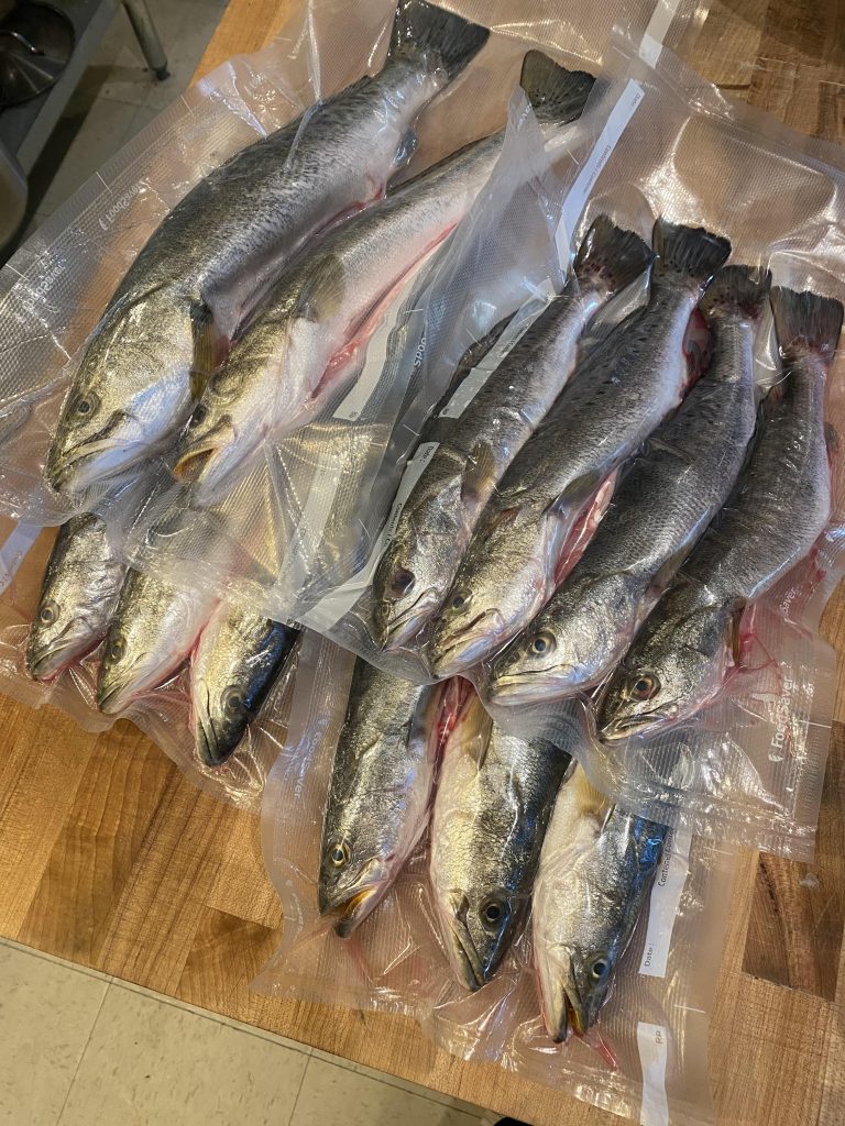 How to Vacuum Seal Fish: Ultimate Guide for Freshness & Flavor – buzzlyo