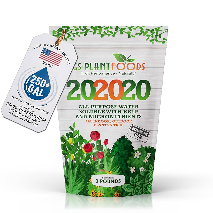 What is Plant Food: Essential Nutrients for Thriving Gardens – buzzlyo