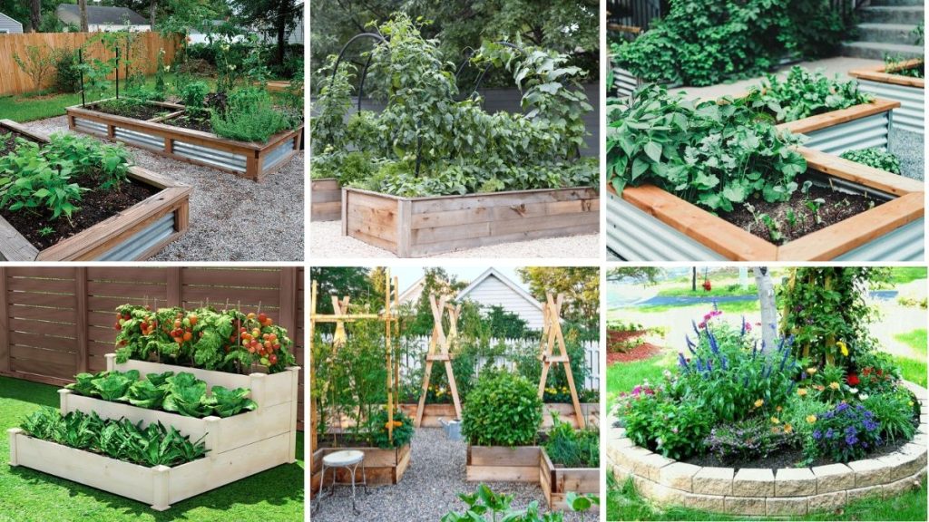 What to Put around Raised Garden Beds: Top Ideas for Beauty & Function ...